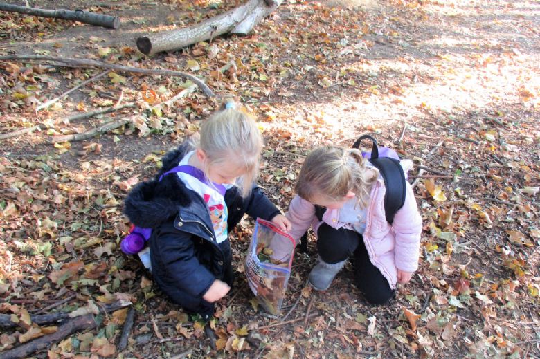 Leighton Primary School - Home